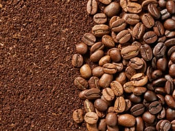 Top 20 Coffee Producing Countries in the World (2025)
