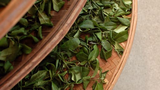 Blog Post Not Found | Torg