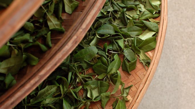 Blog Post Not Found | Torg